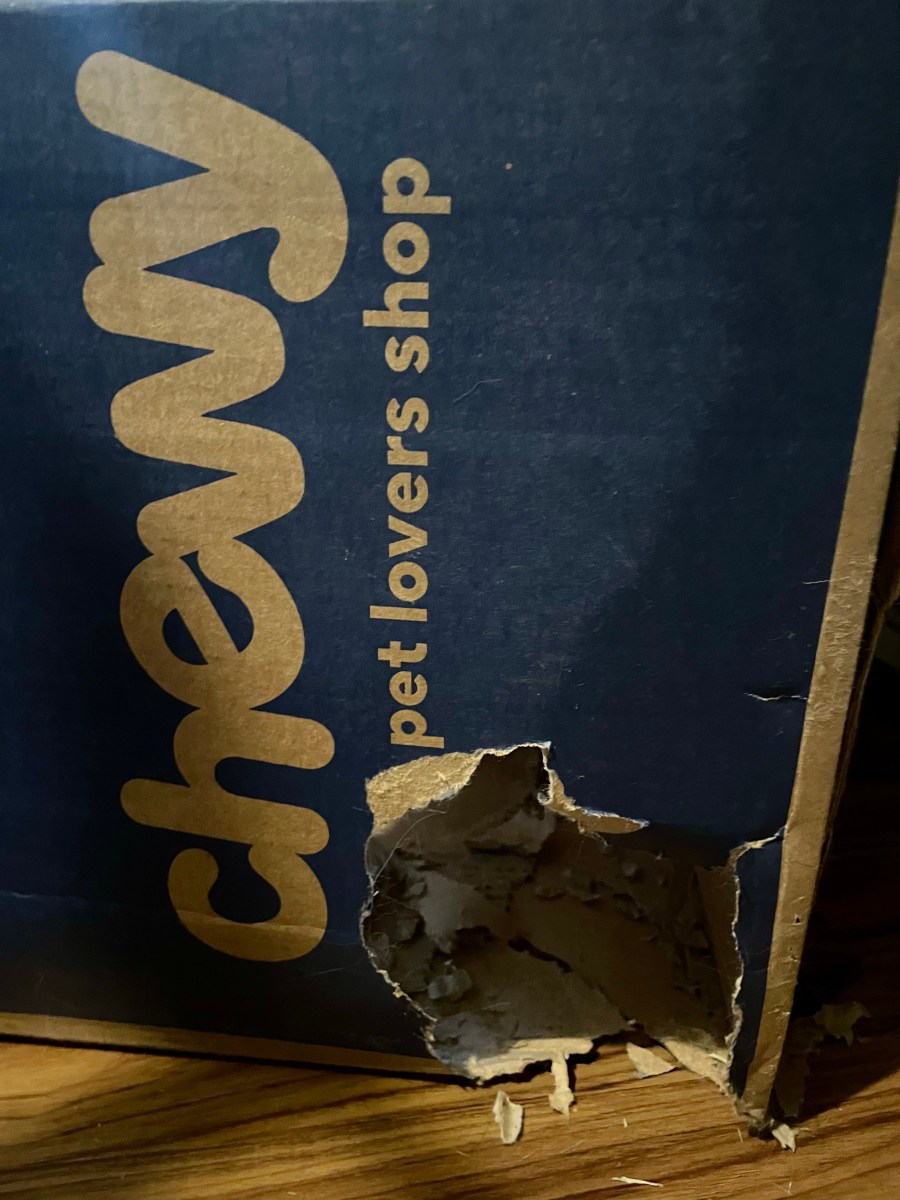 Chewy Boxes: A Bunny’s Favorite Toy | lifewithlilred